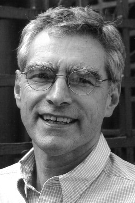 Thomas Bender | Authors | Macmillan